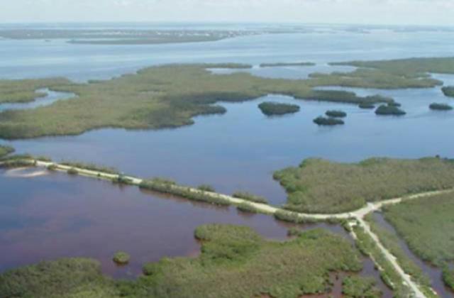 Ding Darling Wildlife Refuge | 2FLA Florida's Vacation and Travel Guide Ding Darling Wildlife Refuge | 2FLA Florida's Vacation and Travel Guide